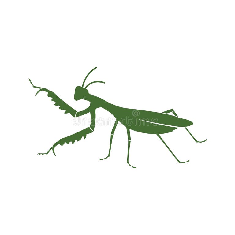 Praying Mantis Icon Design Template Stock Illustration - Illustration ...