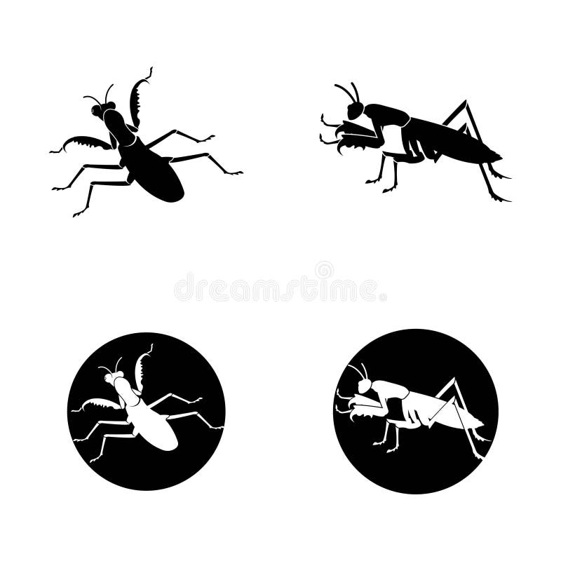 Praying Mantis Icon Symbol Sign Vector Stock Illustration ...