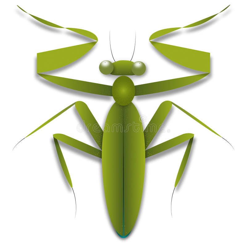 Praying Mantis stock vector. Illustration of arthropod - 379475729
