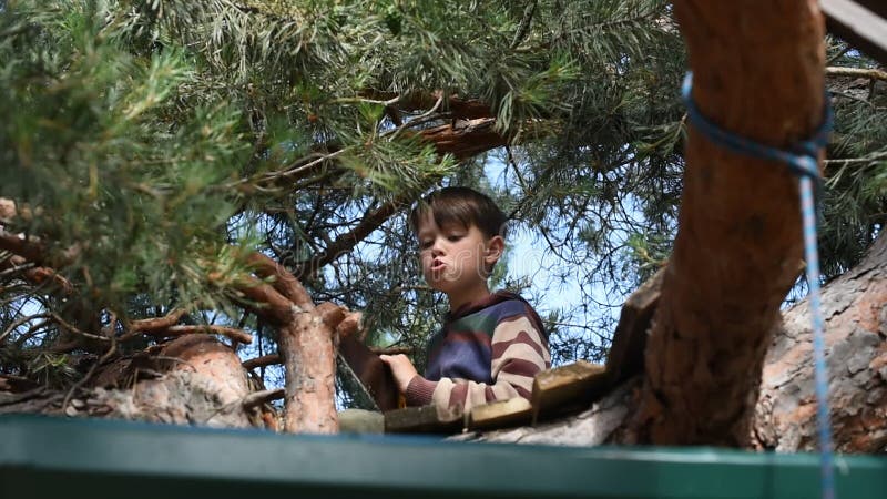 A Pre-adolescent Boy with a Hacksaw on a Tree. Stock Video - Video of ...