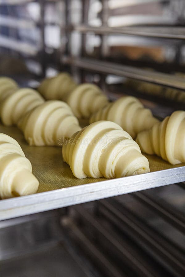 Pre-baked Proofed Croissant Dough Stock Photo - Image of scrumptious ...