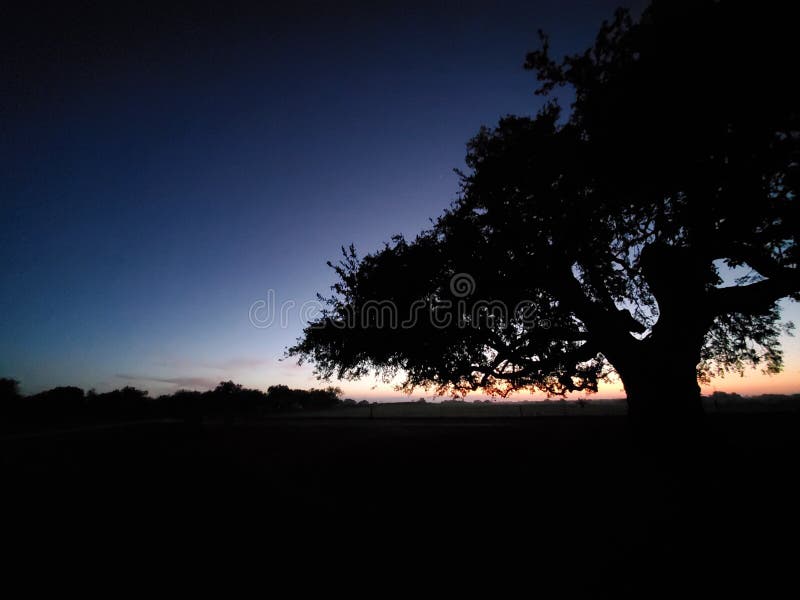 Pre Sunrise Lighting Dawn Stock Photos - Free & Royalty-Free Stock ...