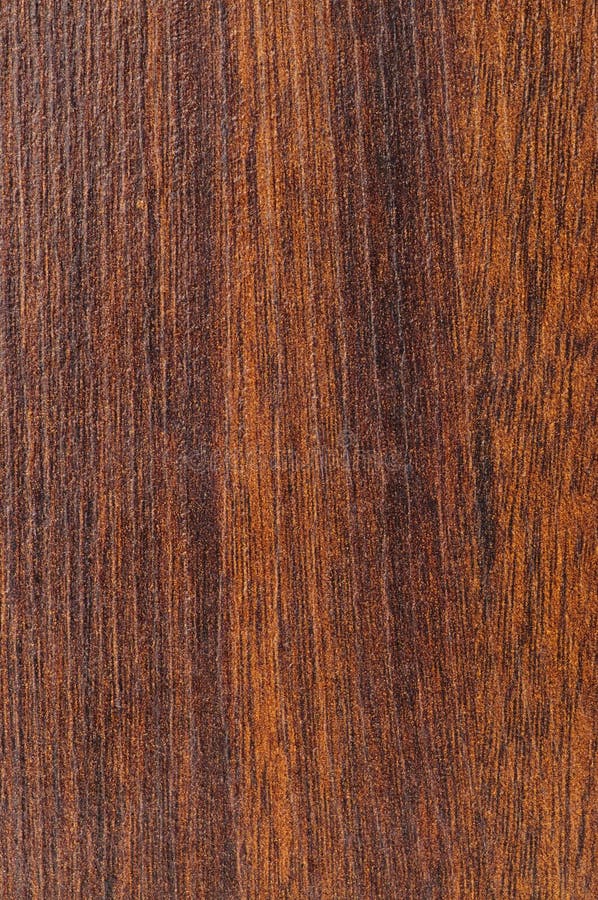 Pre-finished Hardwood Floor Sample Stock Image - Image of plank, golden ...