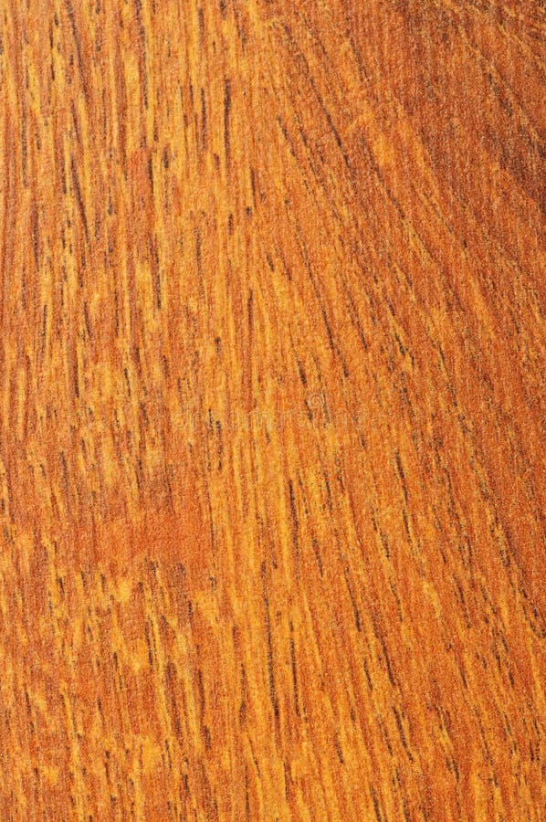 Pre-finished Hardwood Floor Sample Stock Photo - Image of macro, lumber ...