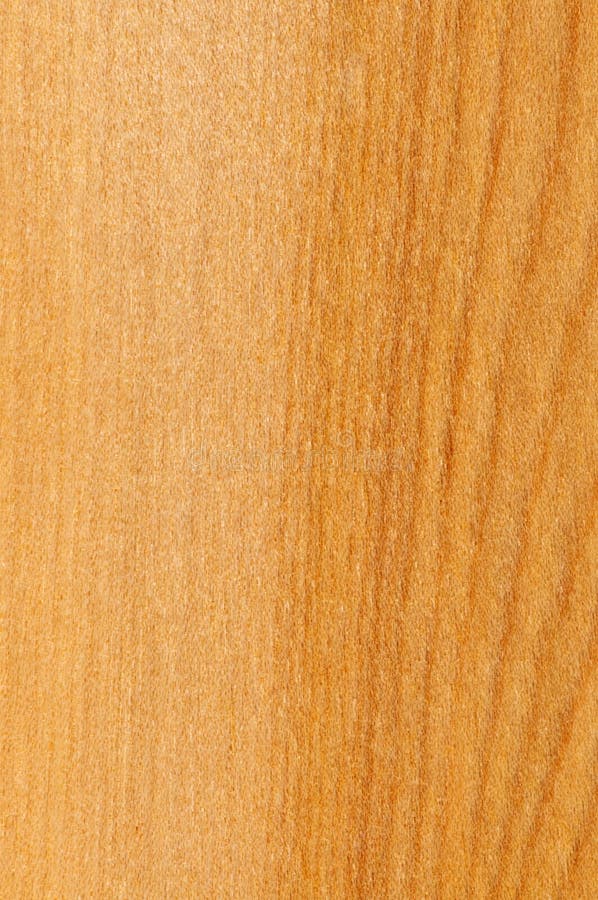 Pre-finished Hardwood Floor Sample Stock Image - Image of plank, lumber ...