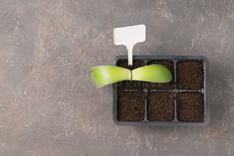 206 Planting Sign Grass Stock Photos - Free & Royalty-Free Stock Photos ...