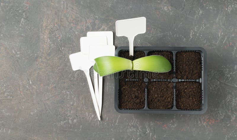 206 Planting Sign Grass Stock Photos - Free & Royalty-Free Stock Photos ...