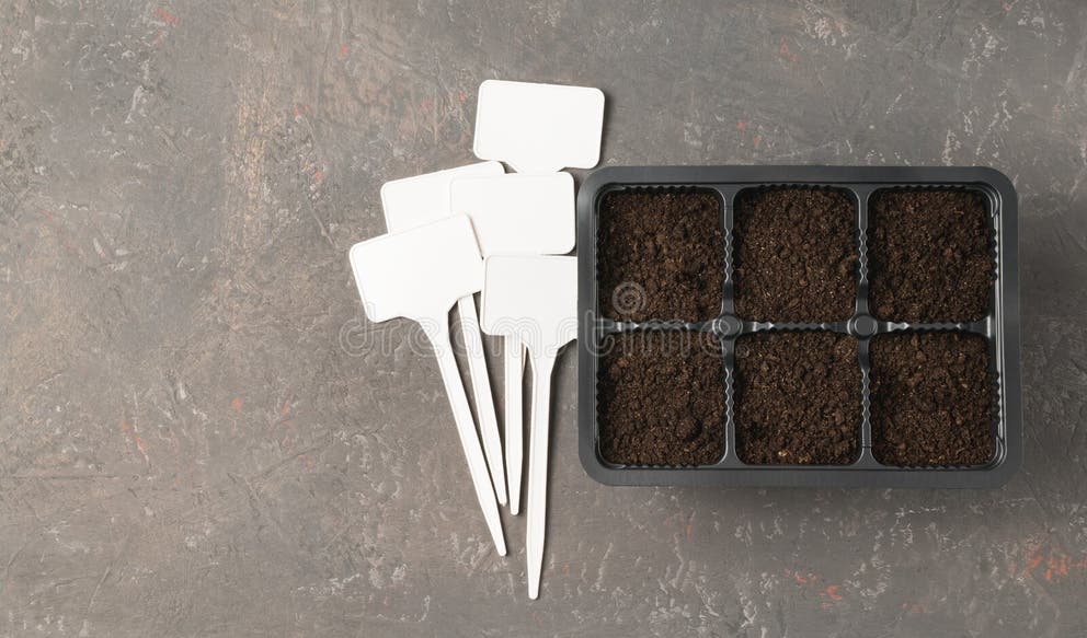 Pre-planting of Plants in the Ground before Spring Stock Photo - Image ...