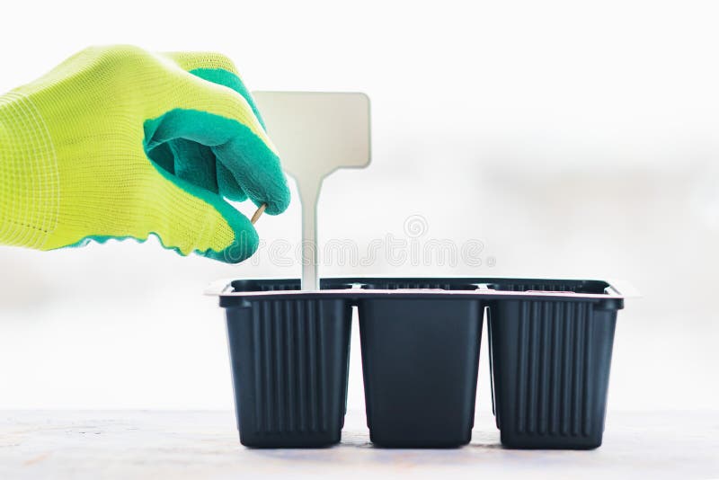 Pre-planting of Plants in the Ground before Spring Stock Photo - Image ...