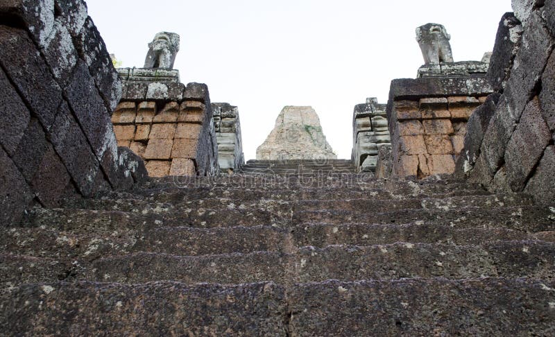 Pre Rut stock image. Image of jungle, offerings, kingdom - 25169171
