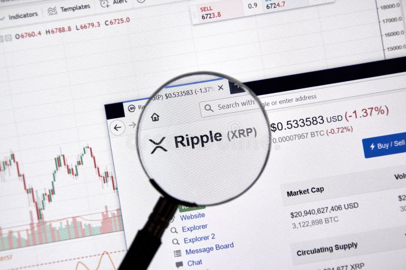 Precio Del Rippe Debajo De La Lupa Fotografía editorial - Imagen de ...