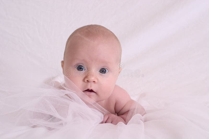 2,047 Precious New Born Baby Stock Photos - Free & Royalty-Free Stock ...