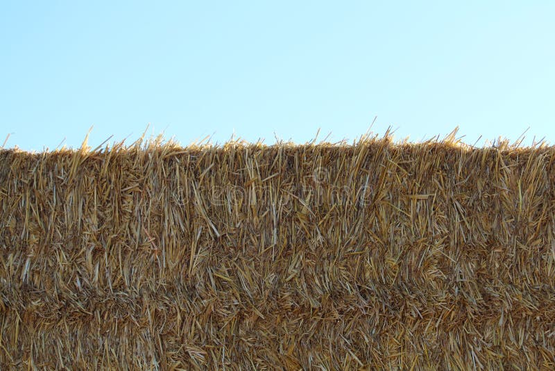 The Precious Image of a Piece of Straw Ready To Be Stored Stock Photo ...