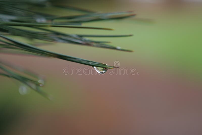 Stone & Water stock image. Image of river, water, trail - 121957