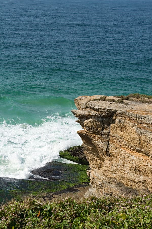 Full of joy stock image. Image of mountain, independence - 1132621