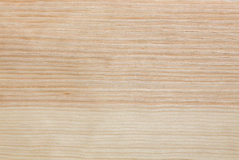 Precise Pine Veneer Texture in Admirable Beige Tone. Stock Image ...