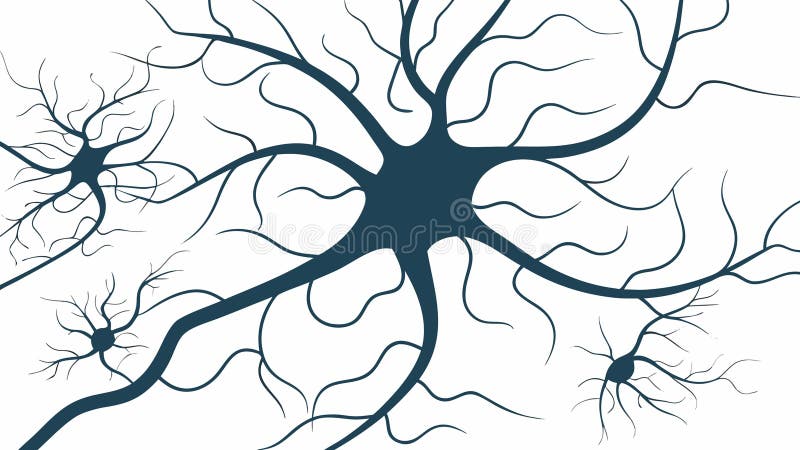 Human Neuron Structure Stock Illustrations – 8,036 Human Neuron Structure Stock Illustrations ...
