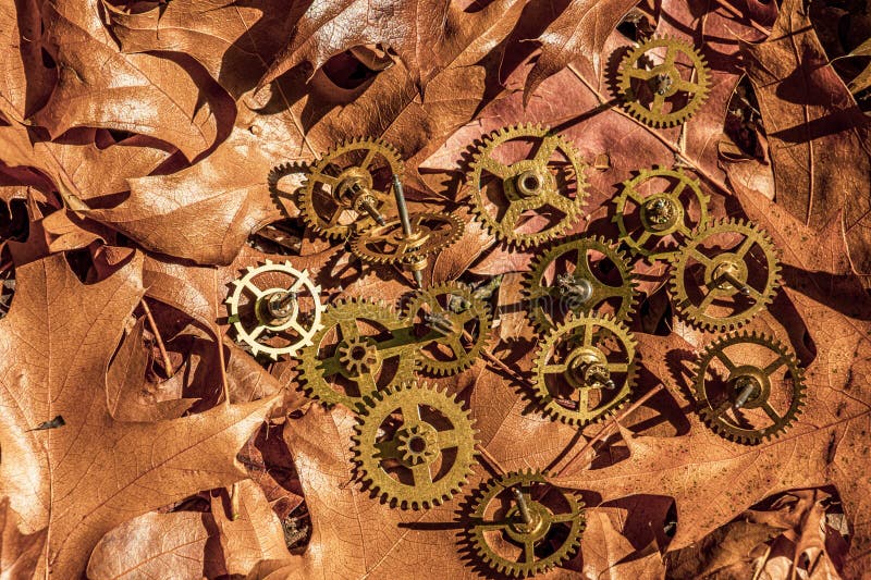 Precision Engineered Toothed Brass Metal Cog Wheels on Dry Leaves Stock ...