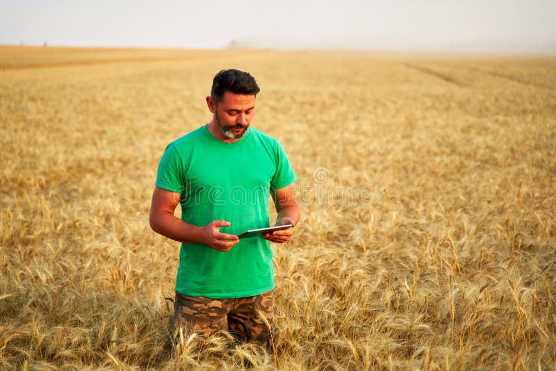 Precision Farming. Farmer Holding Tablet Pc, Using Online Data ...