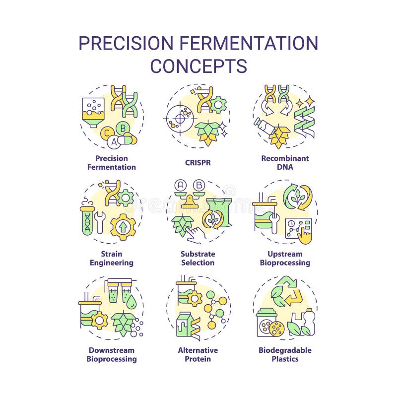 Precision Fermentation Multi Color Concept Icons Stock Vector ...