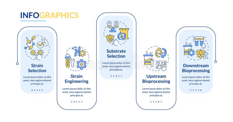 Precision Fermentation Stages Rectangle Infographic Template Stock ...