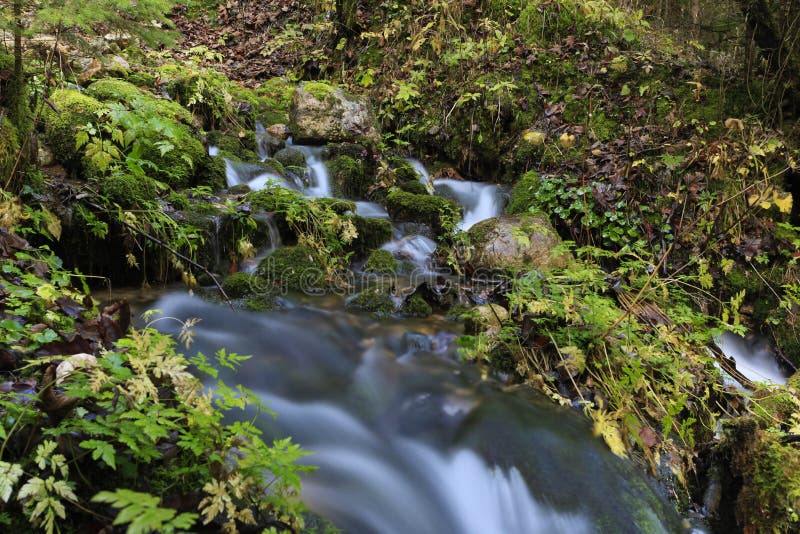 Predaselj Spring Underground Stock Photos - Free & Royalty-Free Stock ...