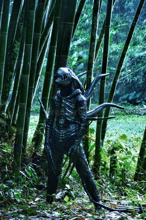 The Predator editorial image. Image of standing, human - 80544265