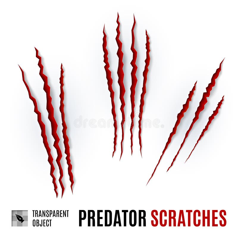 Predator Scratches stock vector. Illustration of claw - 102401226