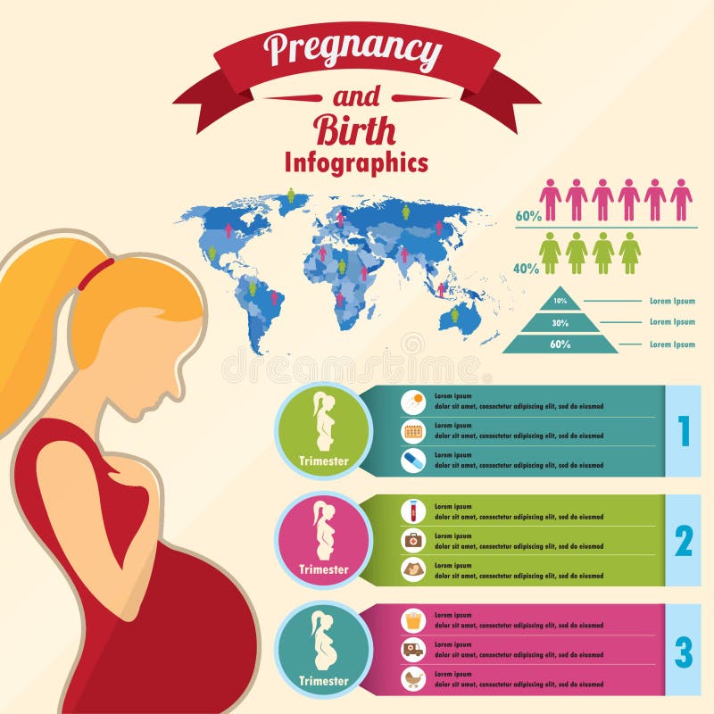 Pregnancy Infographic Design Stock Vector - Illustration of healthcare ...
