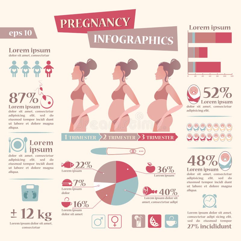 Pregnancy and Birth Infographics, Icon Set Stock Vector - Illustration ...