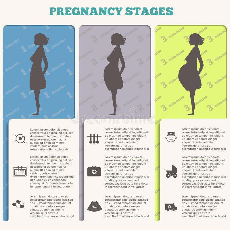 Pregnancy And Birth Infographics Presentation Template And Icon Stock
