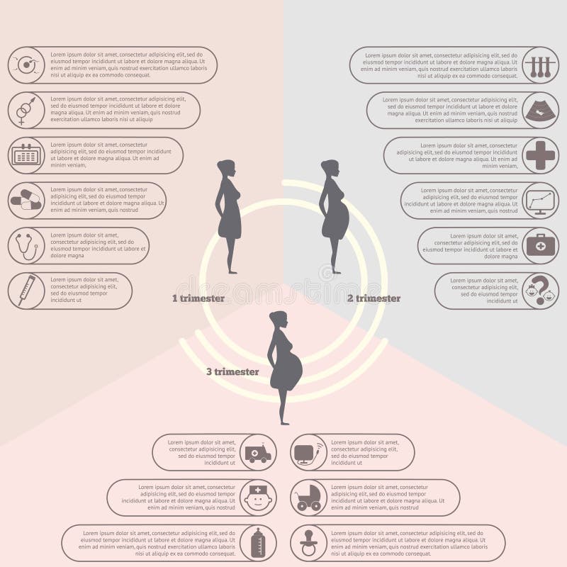 Pregnancy and Birth Infographics, Pregnancy Stages Stock Vector ...