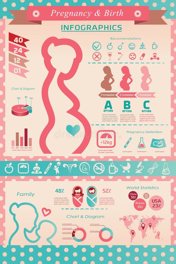 Pregnancy and Birth Infographics, Presentation Template and Icon Stock ...