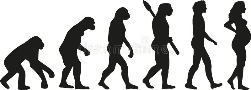 Evolution Of Woman Body