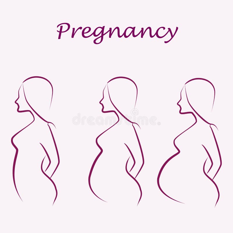 Silhouette of Pregnant Woman in Three Trimesters. Stock Vector ...