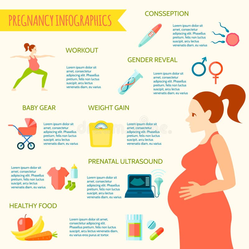 Pregnancy and Birth Infographics, Icon Set Stock Vector - Illustration ...