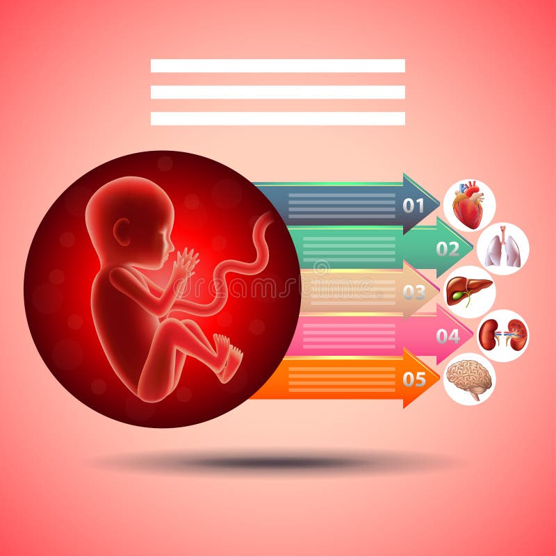 Pregnancy And Motherhood Icons Stock Illustration - Illustration of ...