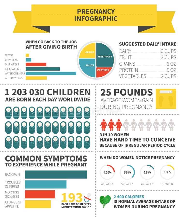 Pregnancy Nutrition Infographic Stock Vector - Illustration of chart ...