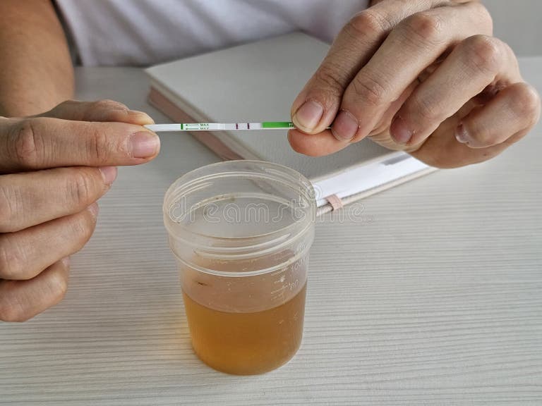 Pregnancy Testing for Substances Using Test Strips and Urine Concept ...