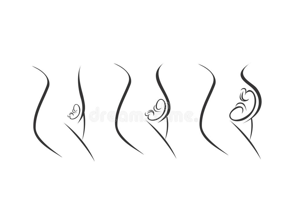 First Trimester Pregnancy Stock Illustrations – 87 First Trimester ...