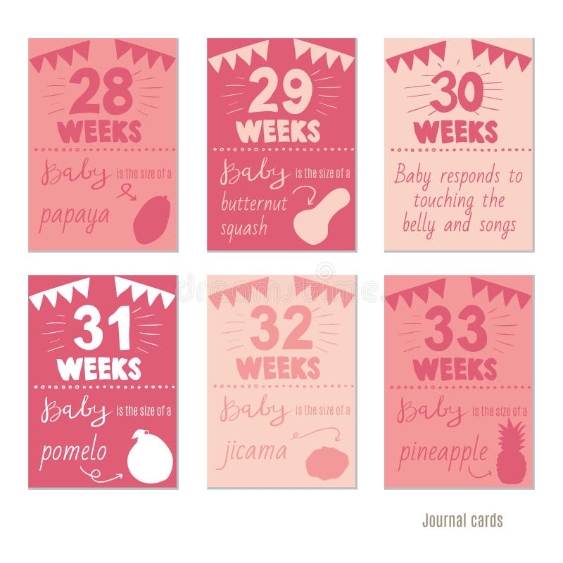 Pregnancy 28-33 Weeks Vector Design Templates for Journal Cards Stock ...