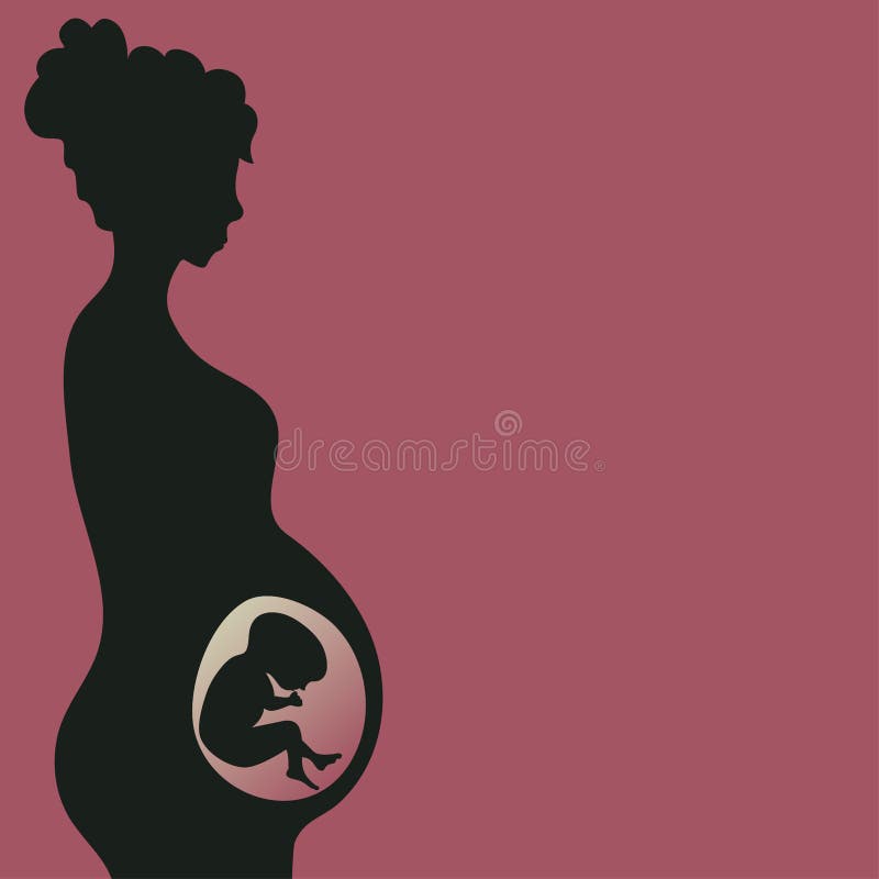 Silhouette of a Pregnant Woman with Developing Fetus Stock Vector ...