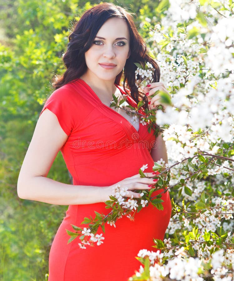 Pregnant Woman In Red Dress In The Flowering Spring Park Stock Image