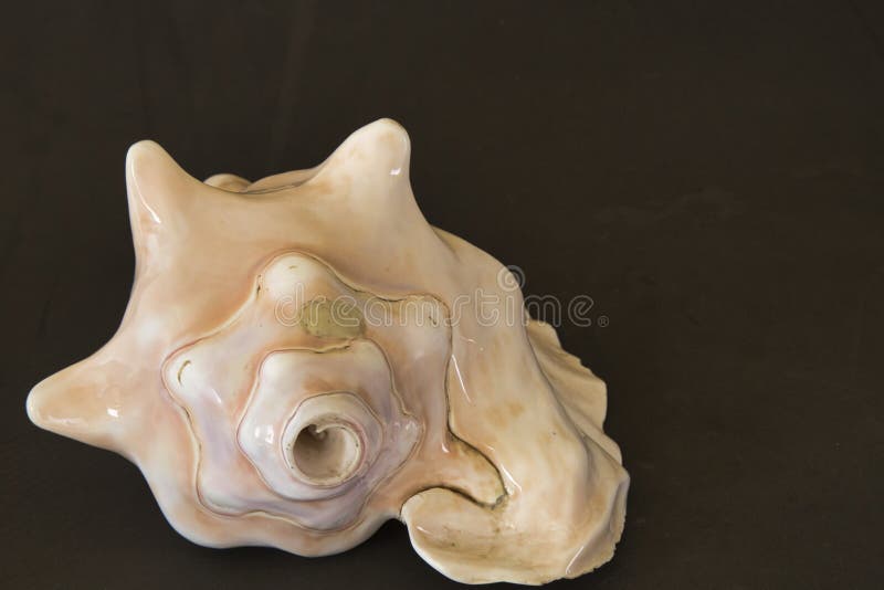 Prehispanic Instrument of Mexico, Caracol Azteca Stock Photo - Image of ...