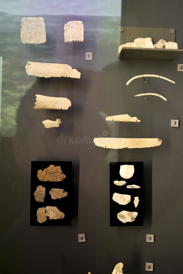 Prehistoric Objects, Tools and Bones Exhibited at the Visitor Center of ...