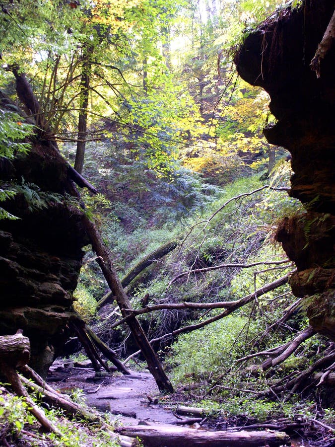 Prehistoric Path stock photo. Image of indiana, park, turkey - 453512