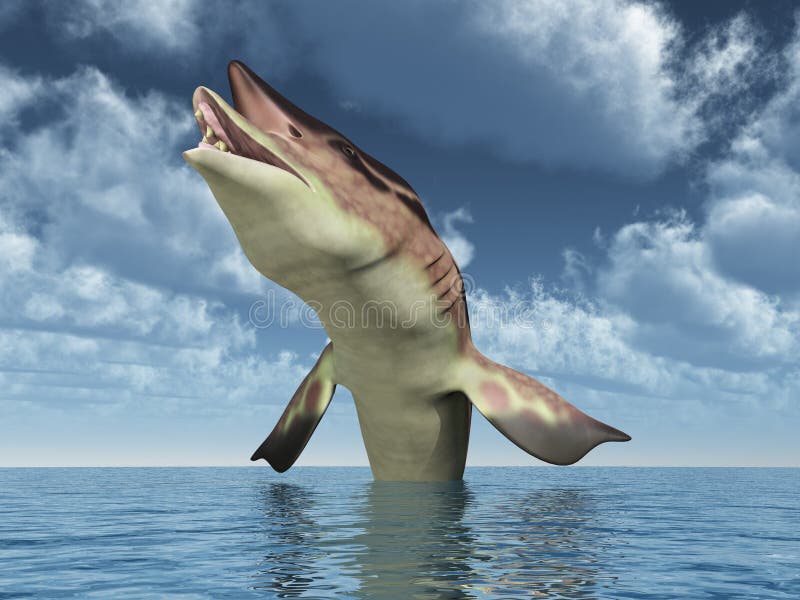 Prehistoric shark Edestus stock illustration. Illustration of edestus ...