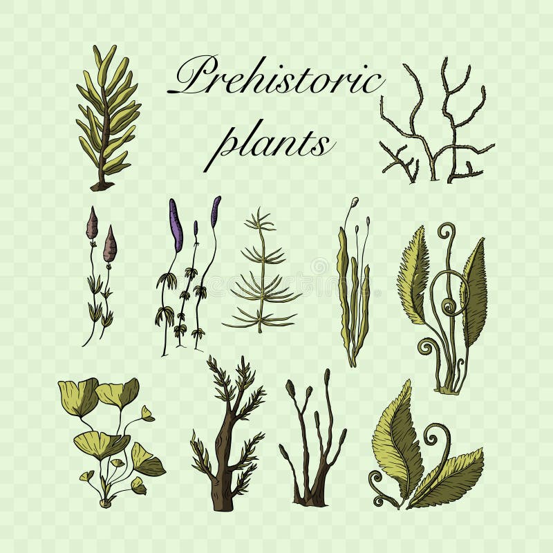 Prehistoric vector plants stock illustration. Illustration of design ...