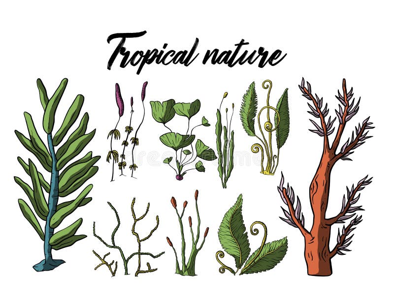 Prehistoric vector plants. stock vector. Illustration of clipart ...