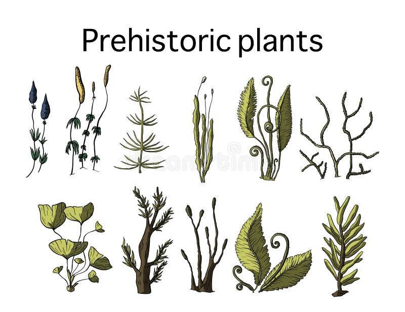 Prehistoric vector plants. stock vector. Illustration of botany - 137269199